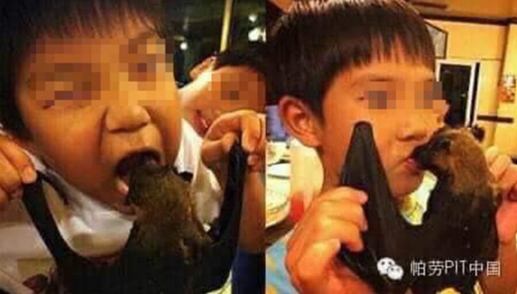 Coronavirus Spread Due to Bat Soup? – Some Other Weird Foods Served in ...