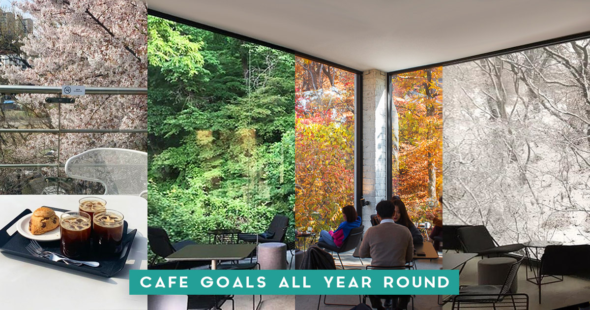 Cafe Smeltz: From Spring To Winter, This Cafe In Korea Is Scenery Goals