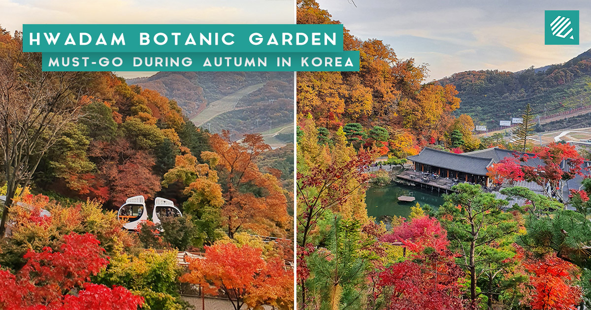 Hwadam Botanic Garden: Famous Autumn Foliage Spot 1-Hour Away From Seoul