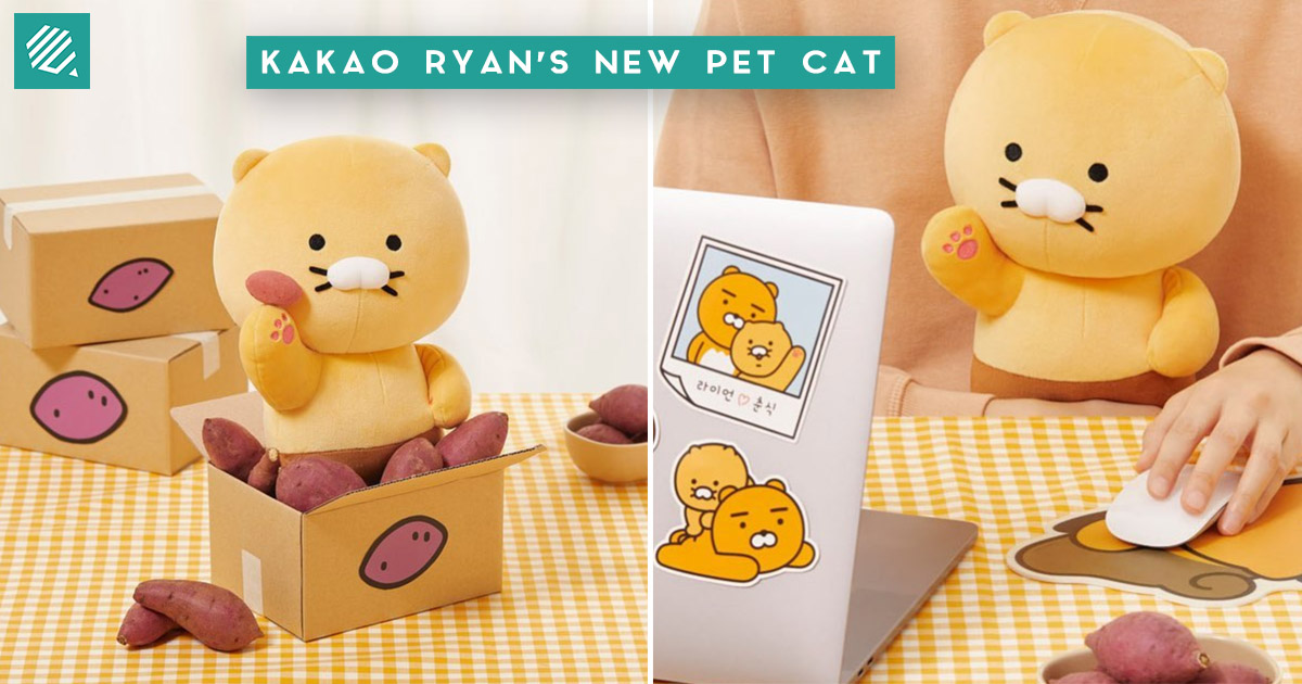 Did You Know: Kakao Friends' Ryan Has A Pet Cat Named Choonsik That ...