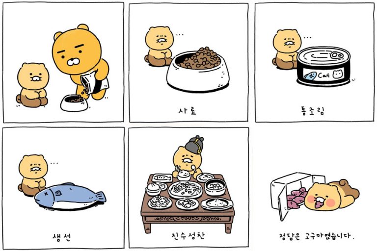 Did You Know: Kakao Friends' Ryan Has A Pet Cat Named Choonsik That ...
