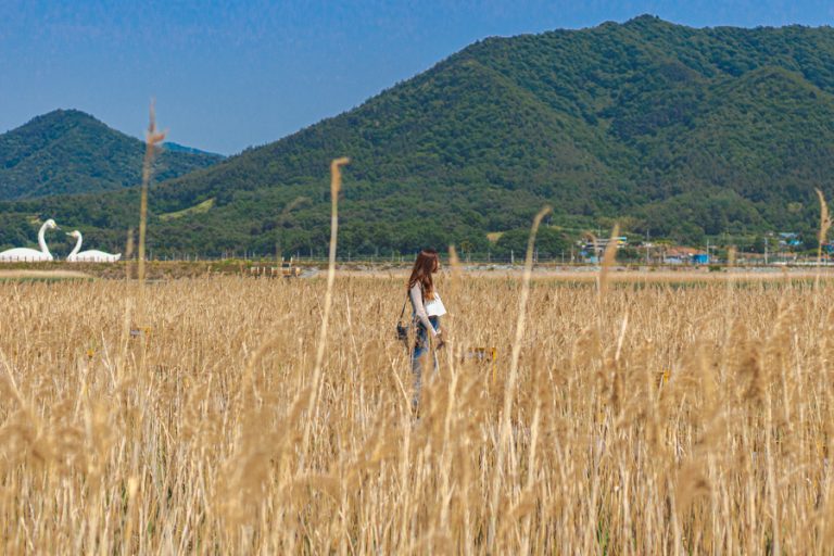 Gangjin Travel Guide: Experience Slow Life and A Farm Stay In This Part ...