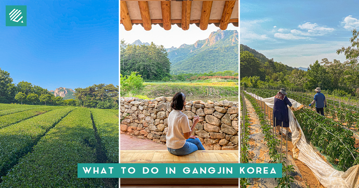 Gangjin Travel Guide: Experience Slow Life and A Farm Stay In This Part ...