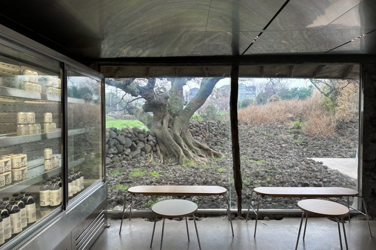 Coffee Nap Roasters Jeju: Modern Jeju Stone House Cafe in Aewol