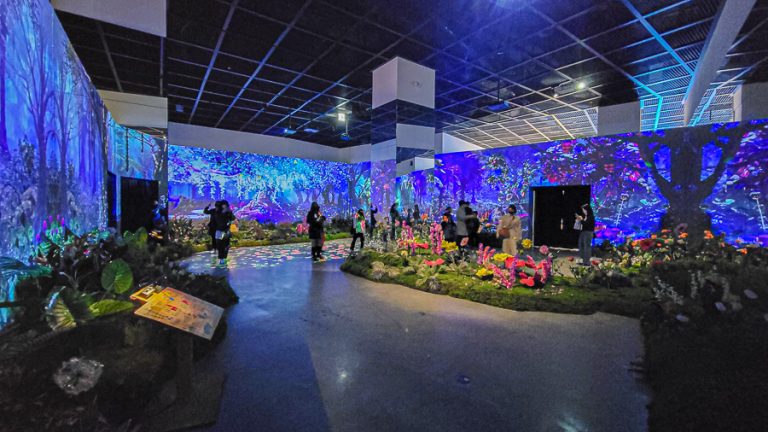 Haribo World: Immersive & Interactive Haribo-Themed Pop-Up Experience ...