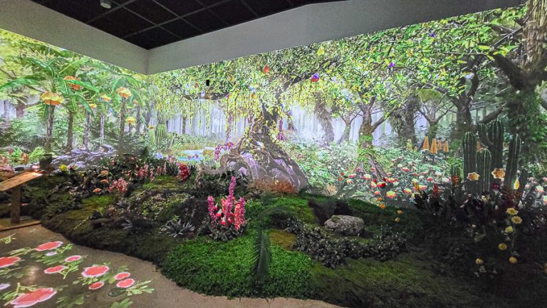 Haribo World: Immersive & Interactive Haribo-Themed Pop-Up Experience ...