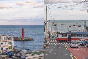 Haeundae Blueline Park: A Guide To Taking The Sky Capsule & Beach Train ...