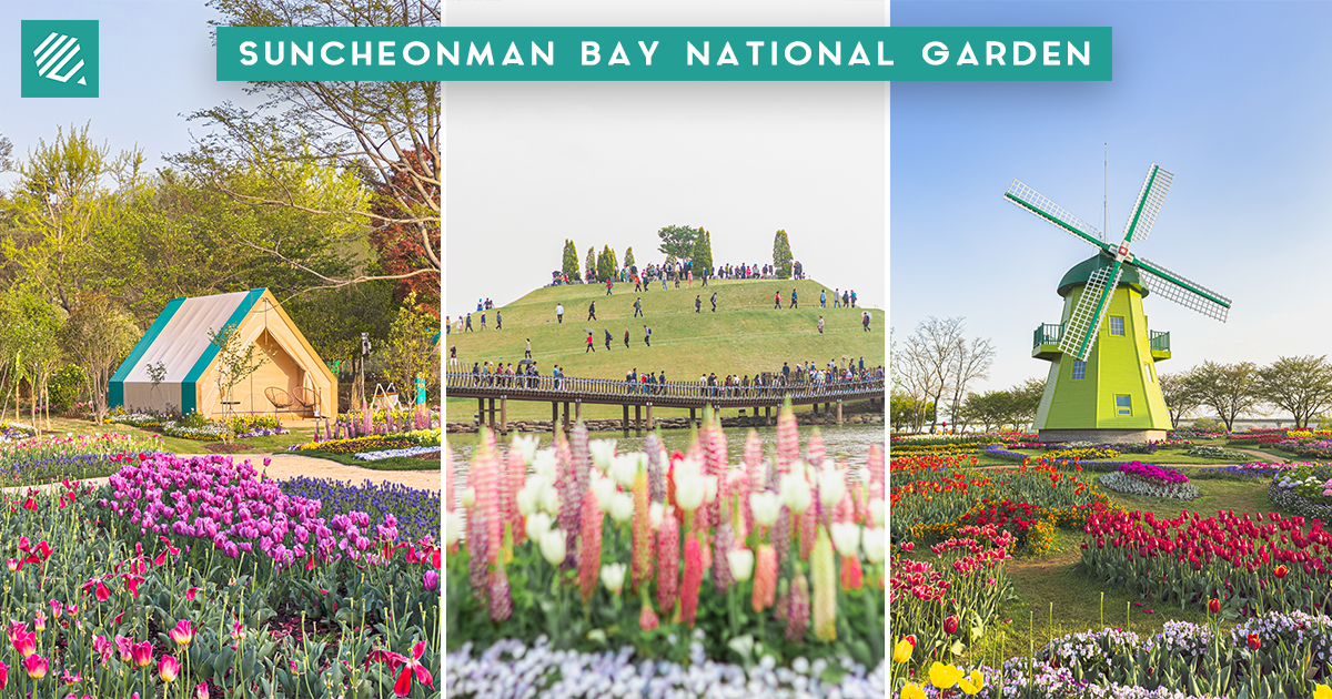 Suncheonman Bay National Garden: A Gorgeous Garden That’s More Than Just Flowers & Trees
