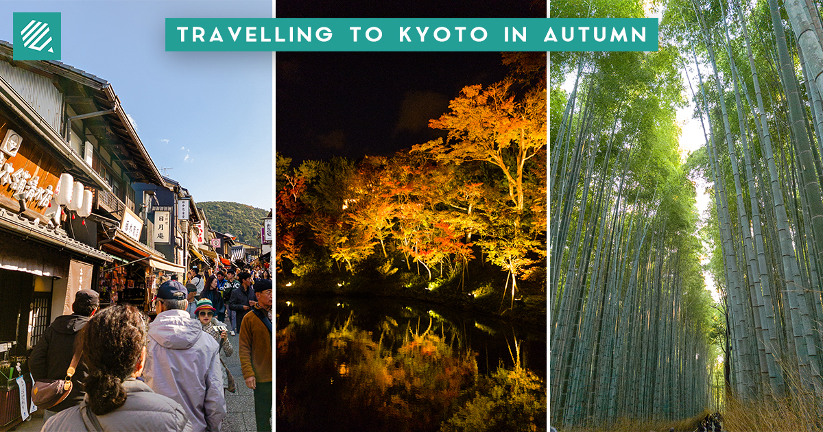 5 Tips We Learnt After Travelling To Kyoto During The Peak Autumn Season