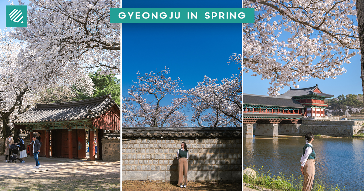 Cherry Blossoms & Ancient Treasures: Conquer Gyeongju in One Day (With ...