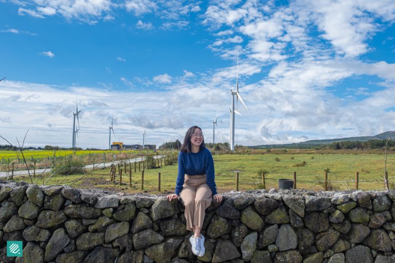 The Ultimate Jeju Spring Guide: Where To See Cherry Blossoms & Canola ...