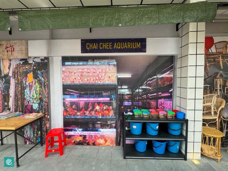 Tan Xiang Cai Shi: Retro-Themed Hawker with Charcoal Fish Head ...