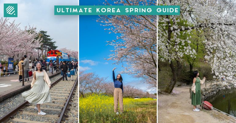 Ultimate Korea Spring Guide 2026: Where To See Cherry Blossoms, Weather ...