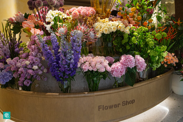 Tomacado: Aesthetic Flower-Themed Restaurant In Orchard With In-House ...
